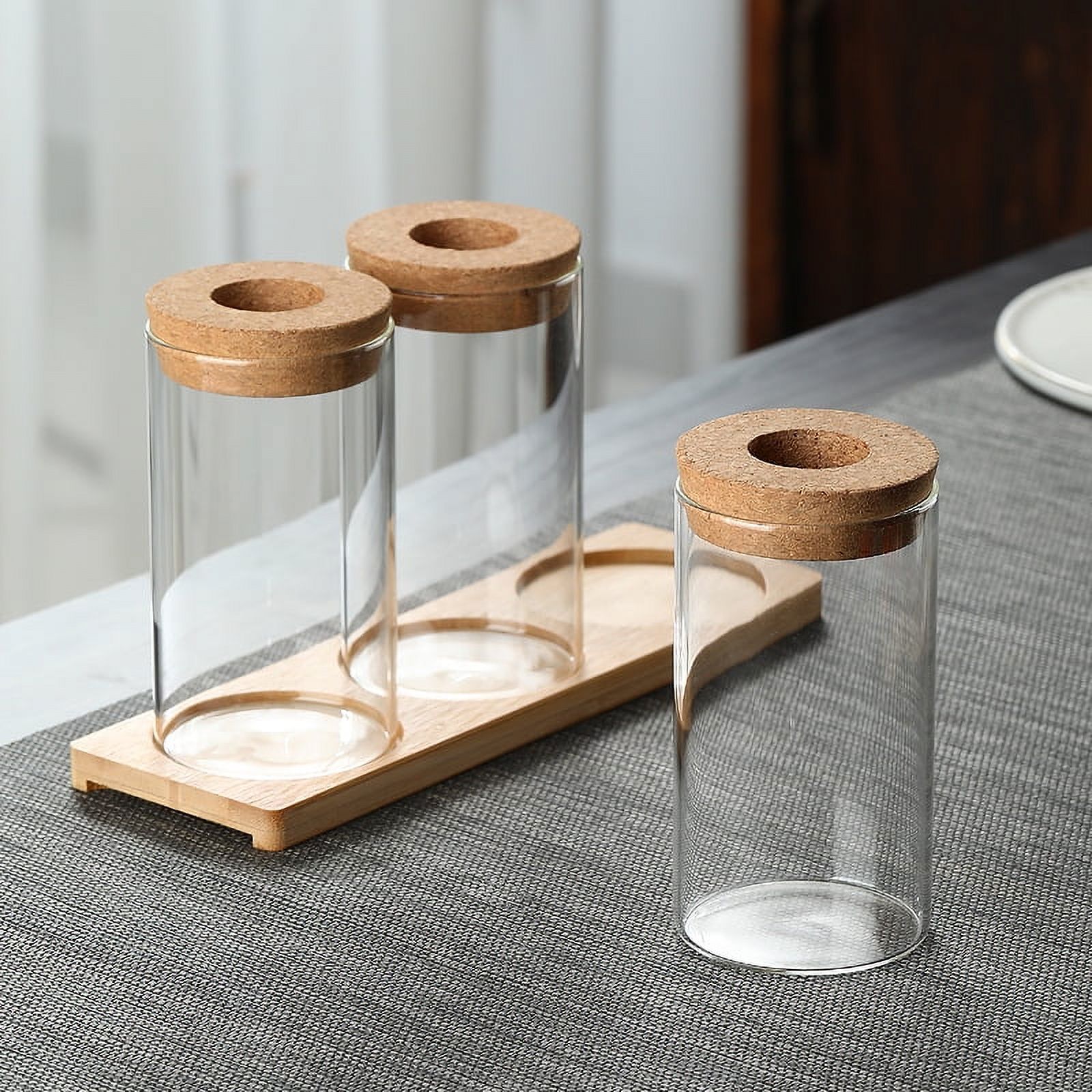 ITSELFER Plant Propagation Terrarium: Set of 3 Desktop Glass Planter ...