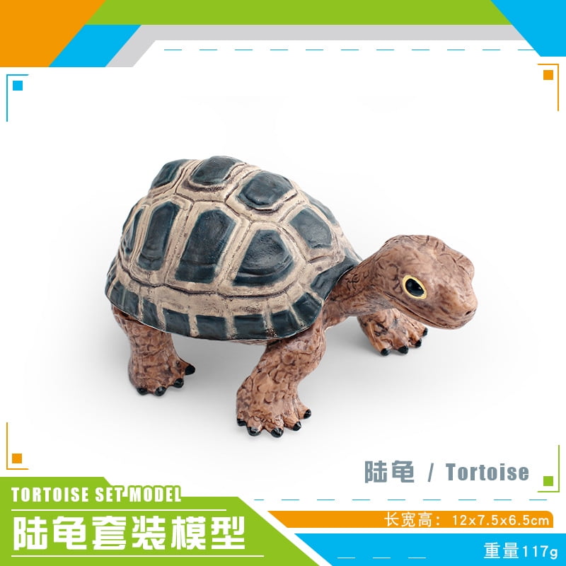 ITSELFER Realistic Turtle Model - Turtle Figurine Toy Decorative Small ...