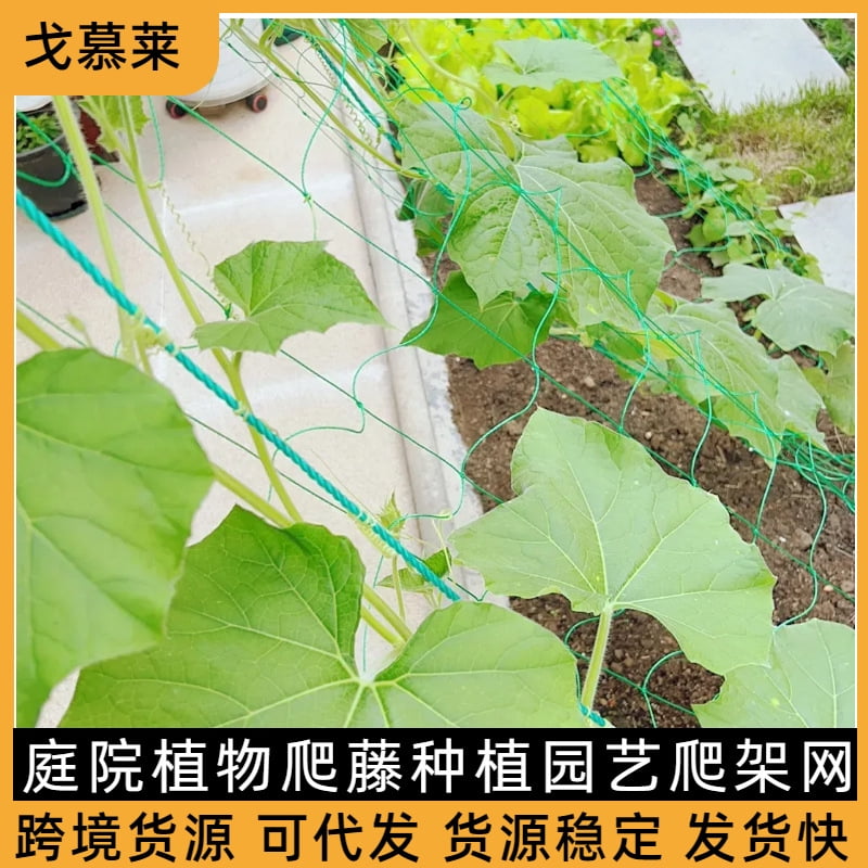 ITSELFER Trellis Netting Garden Netting Plants Trellis Climbing Plants ...