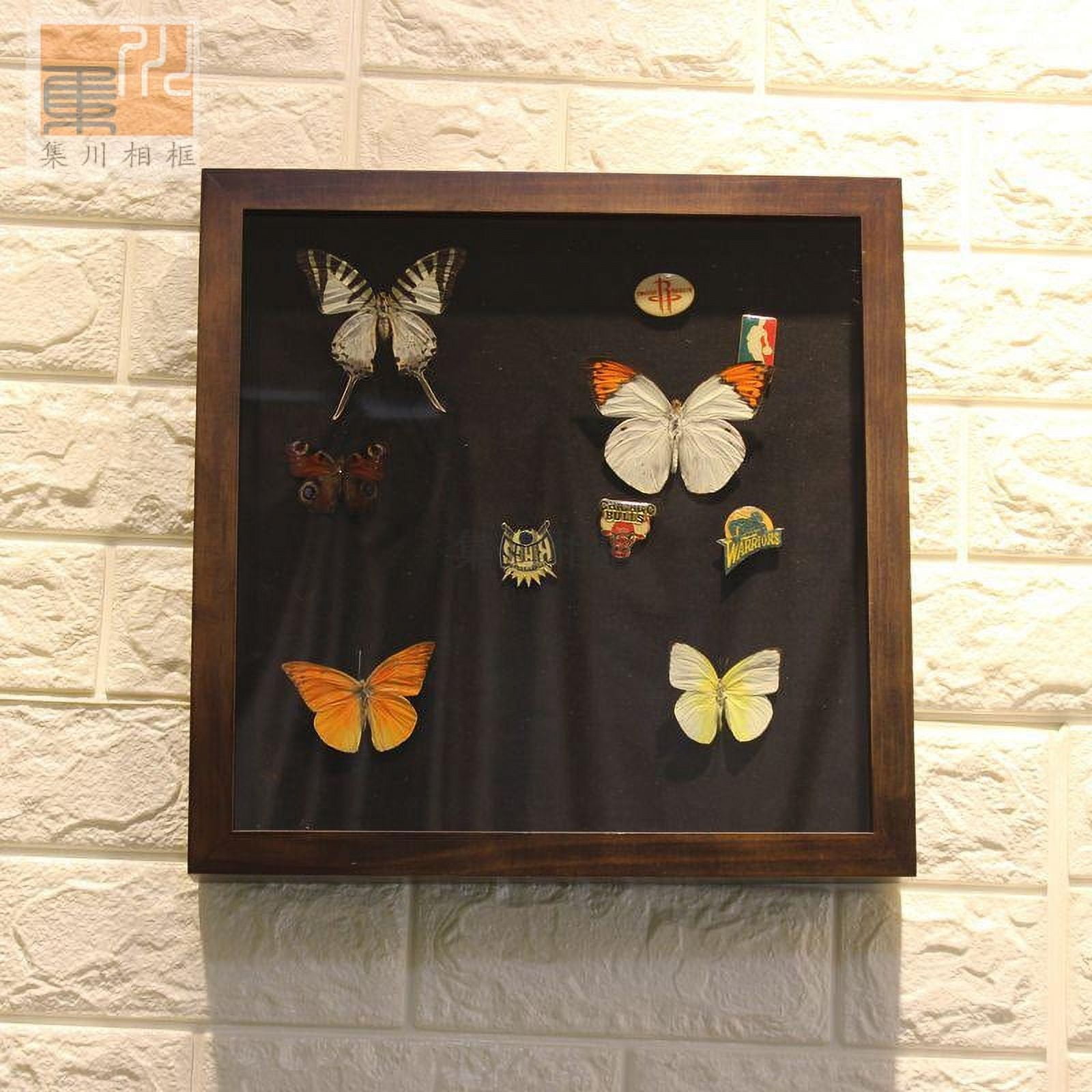 ITSELFER Wooden Frame for Butterfly Specimens Frame Dried Flower ...