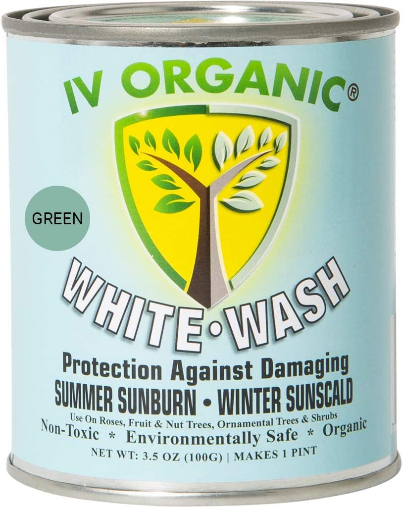 IV Organic White Wash, 1 Pint (Green) - Walmart.com