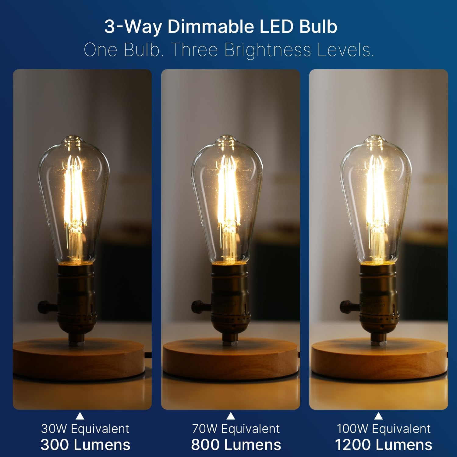 IYFFDFE-3 Way LED Light Bulb, E26 Standard Base ST19 Clear Bulbs, 30/70 ...