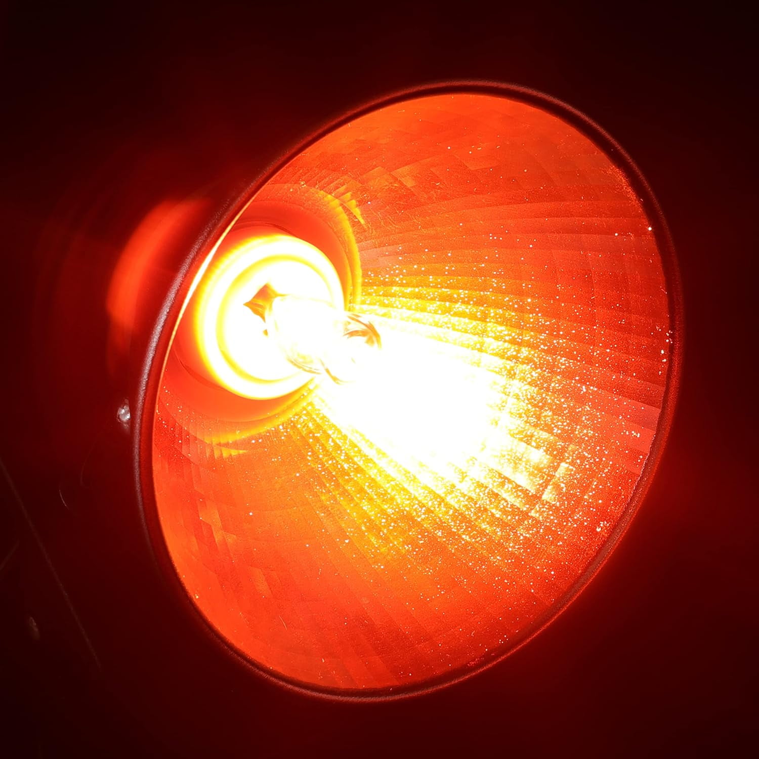 IYFFDFE-6 Pack G9 Infrared Heat Lamp Bulbs for Reptiles, Dimmable Night ...