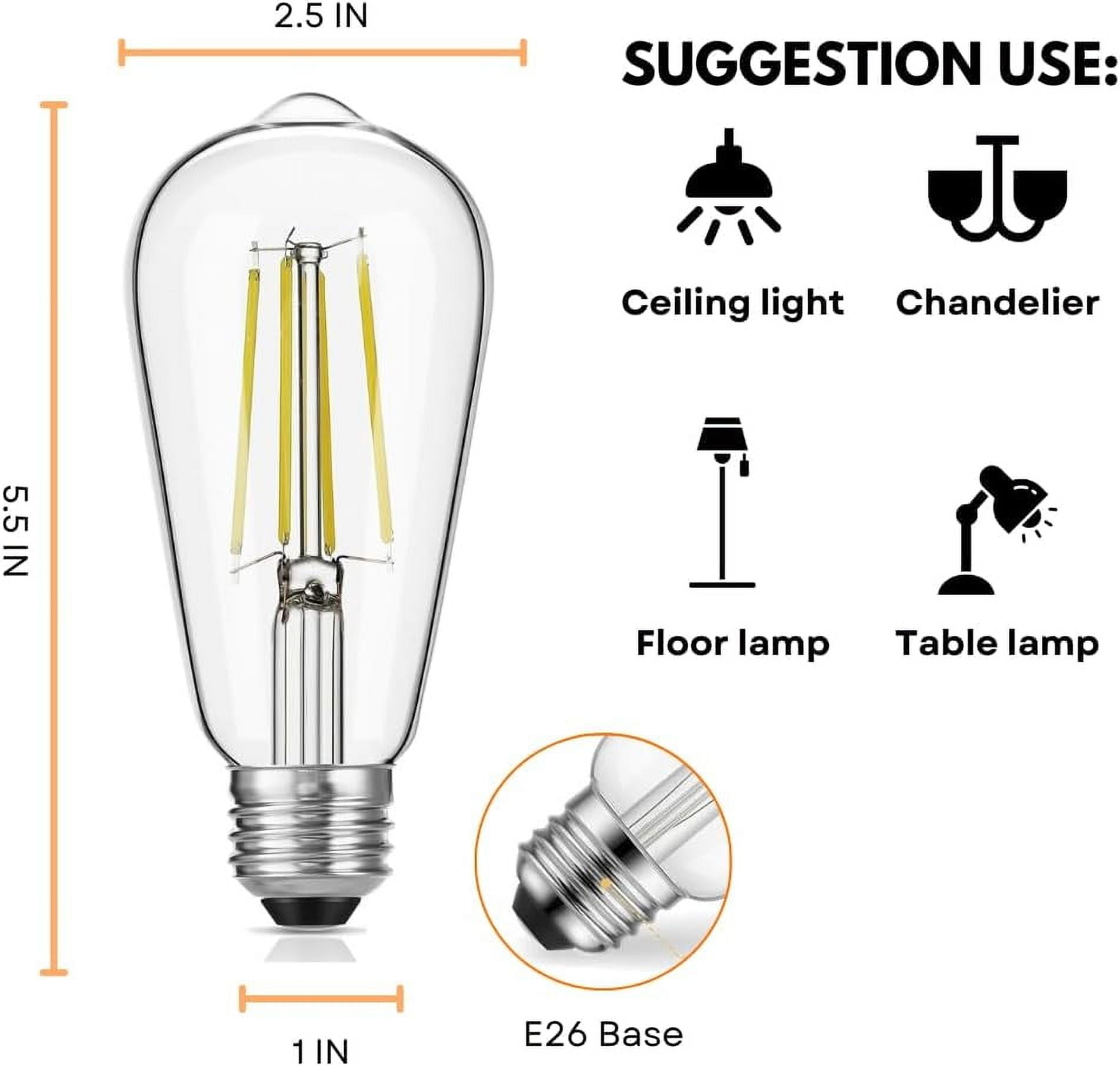 IYFFDFE-6W LED Edison Bulbs, ST58 Vintage Filament Light (60W ...