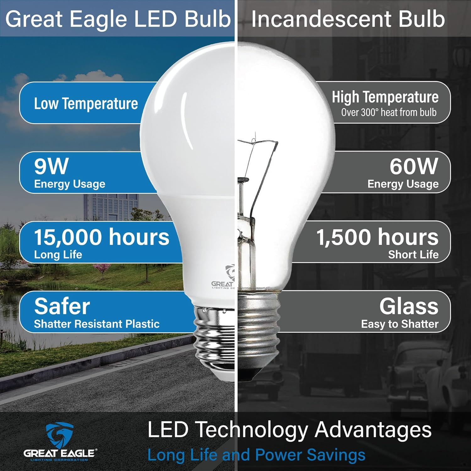 IYFFDFE-Great Eagle A19 LED Light Bulbs 60 Watt Equivalent, Soft White ...