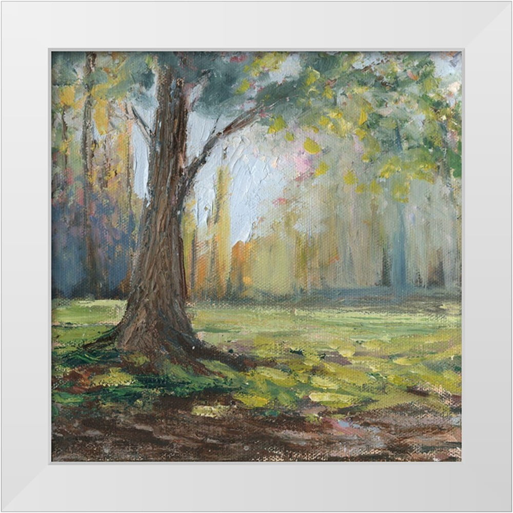 Iafrate, Sandra 15x15 White Modern Wood Framed Museum Art Print Titled ...