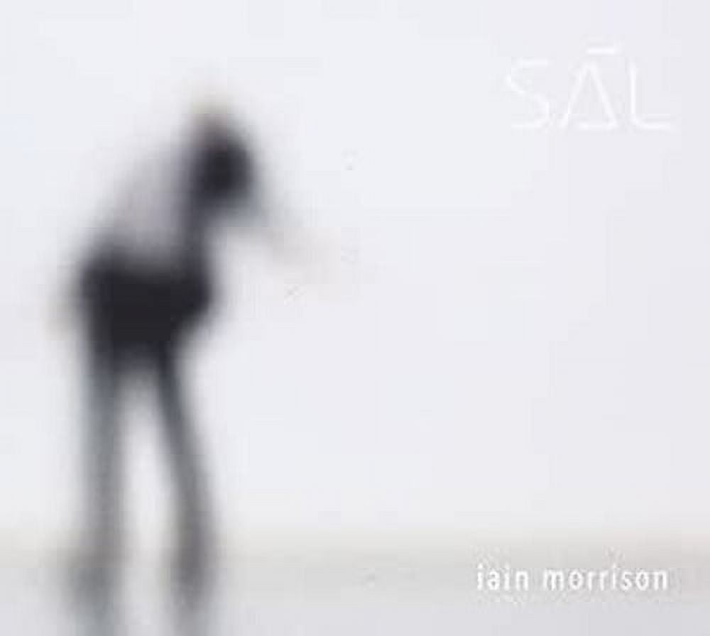Iain Morrison - Sal - Music & Performance - CD - Walmart.com