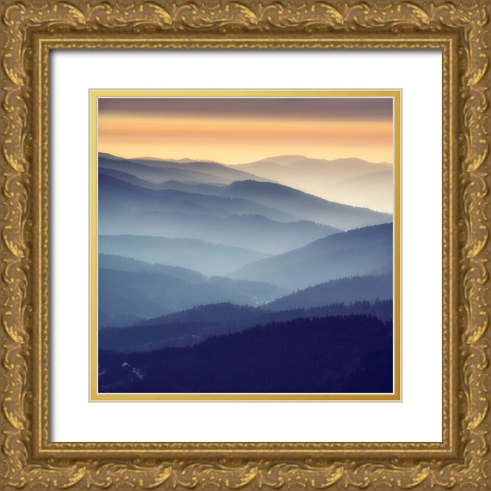 Ian Nedelcu, Mihai 26x26 Gold Ornate Wood Framed with Double Matting ...