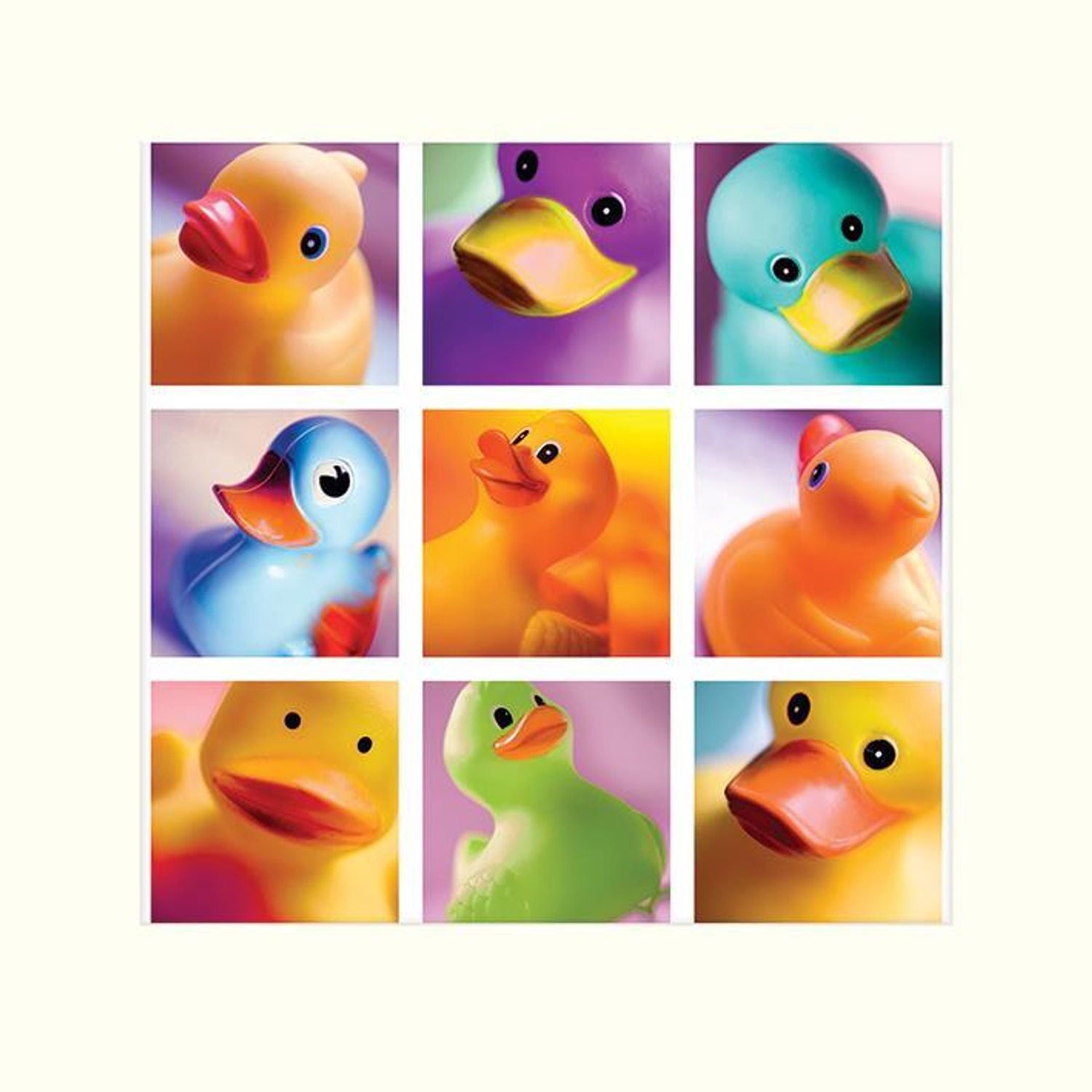 Ian Winstanley Duck Family Portraits Print - Walmart.com