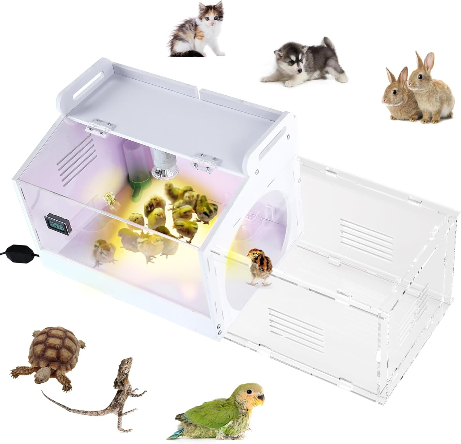 Scale Chick brooder Box Quail Cage Egg Incubator Chick Starter Kit ...