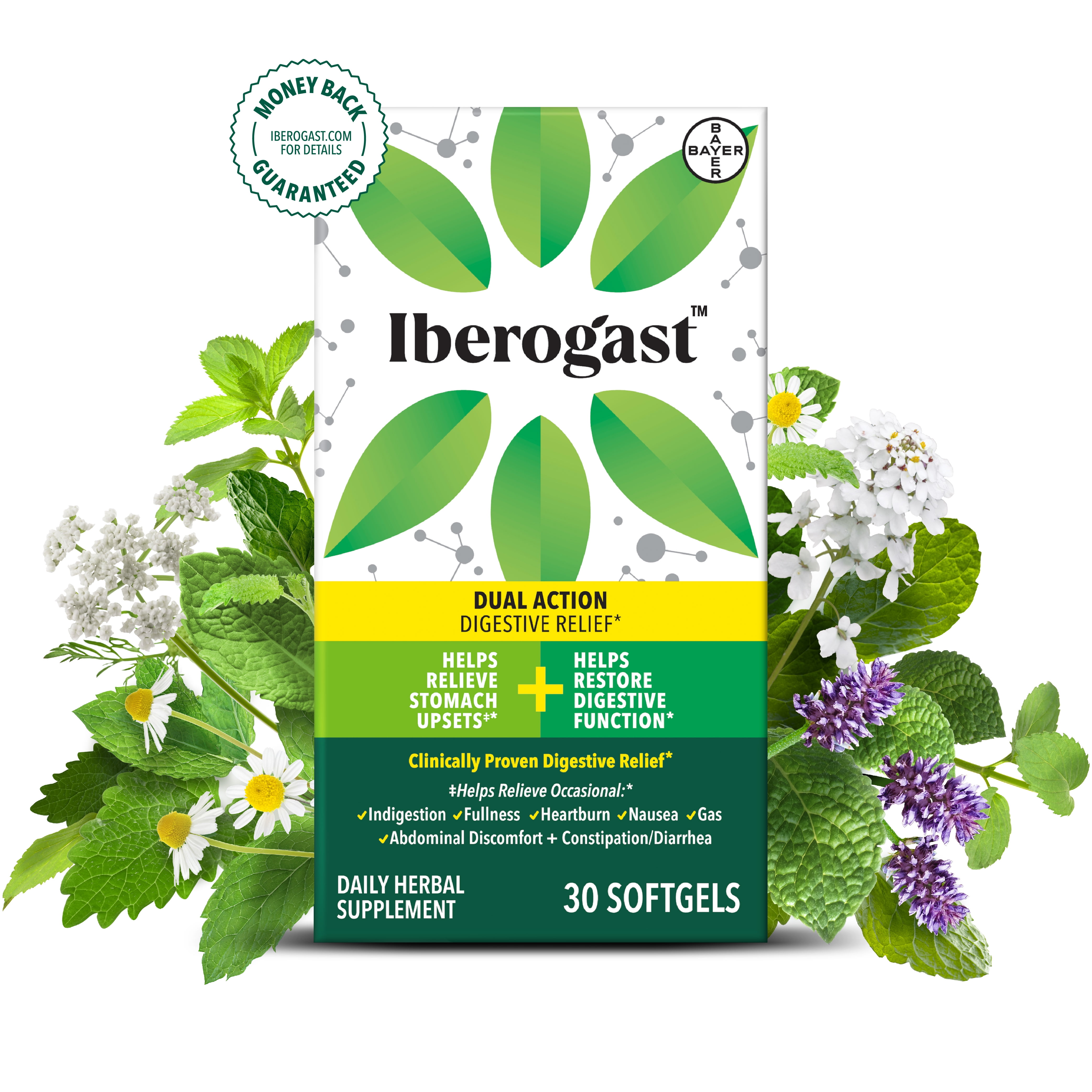 Iberogast Daily Multi-Symptom Dual Action Digestive Relief, 30ct ...