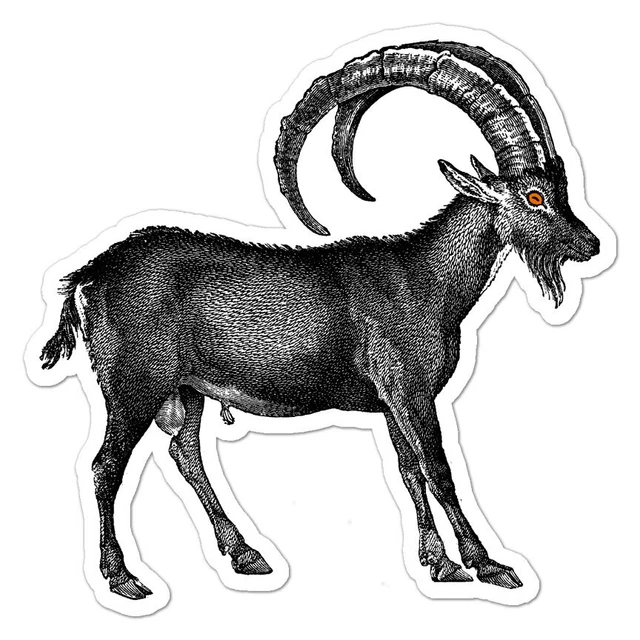 Ibex Sticker Indoor Outdoor Phone Decal Water Bottle Stickers Car ...