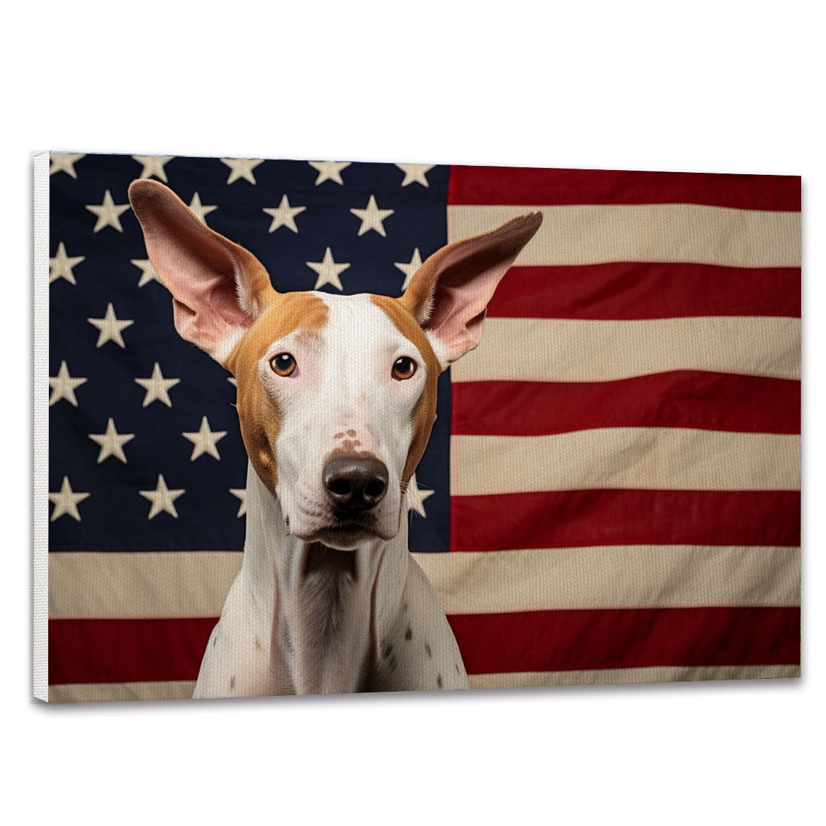Ibizan Hound Dog American Flag Canvas Poster Wall Art Dog Pictures for Wall Decor Red White Blue ...