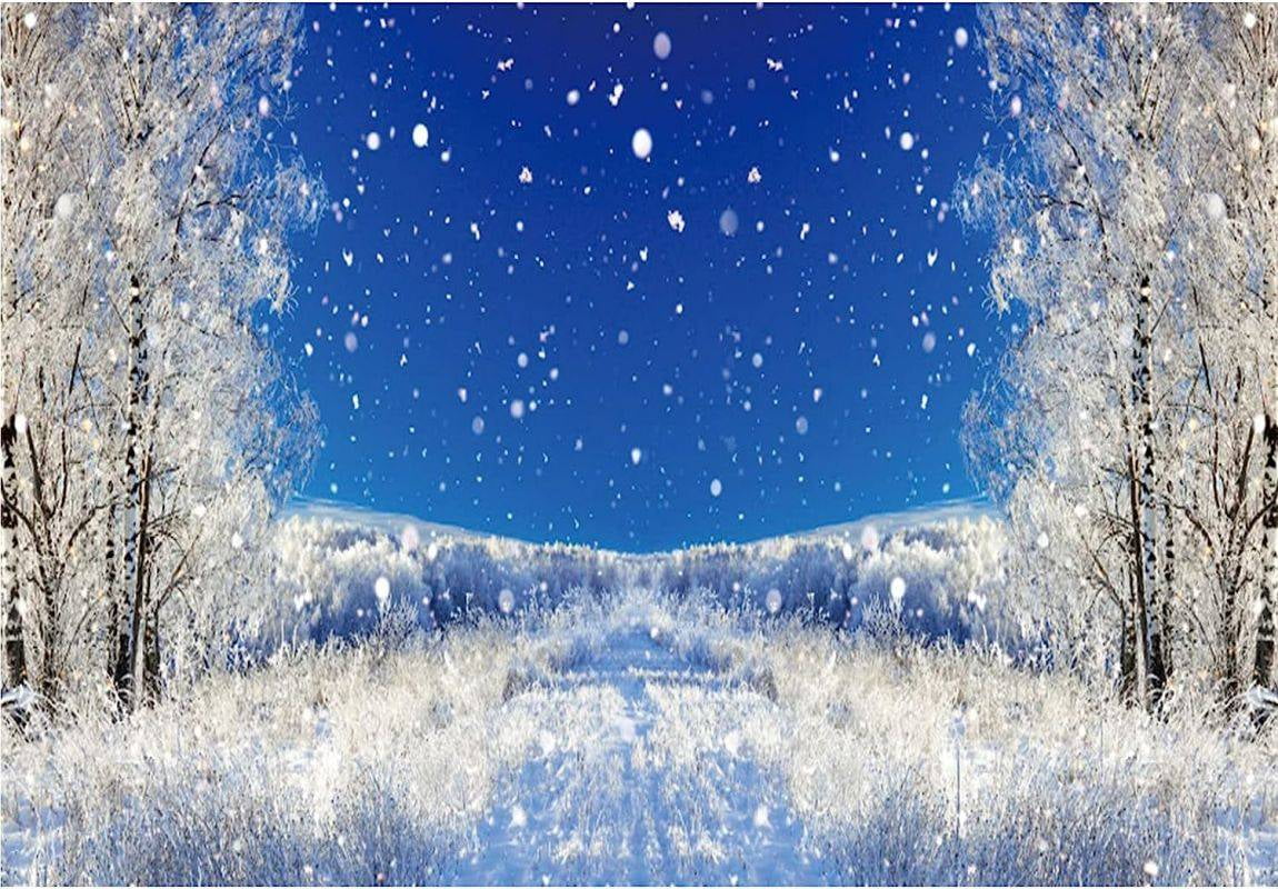 Ice Blue Winter Backdrop Party ration Banner White Snowflake Snowfall ...