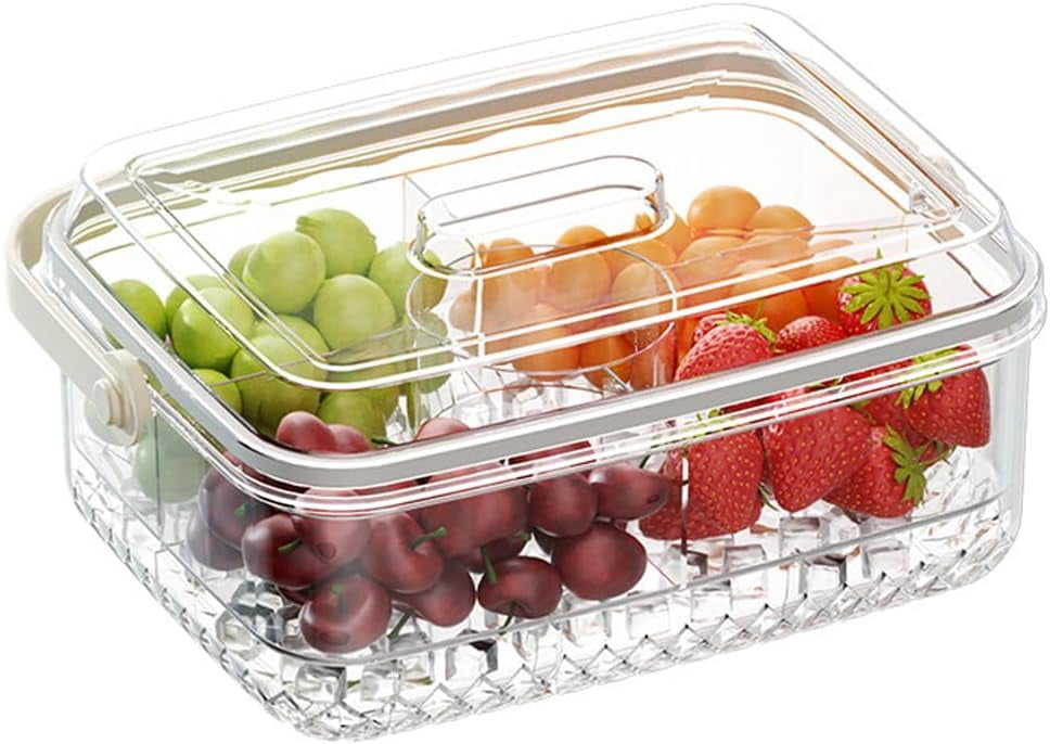 Ice Chilled Divided Serving Tray with Lid and Handle Crystal Clear ...