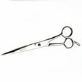 Ice Tempered Salon Supplies Grooming Hair Styling Cutting Scissors ...