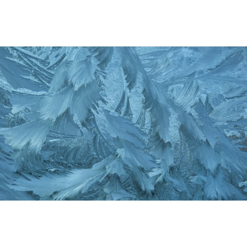 Posterazzi DPI12278879LARGE Ice Patterns Formed on Glass After A Hard ...