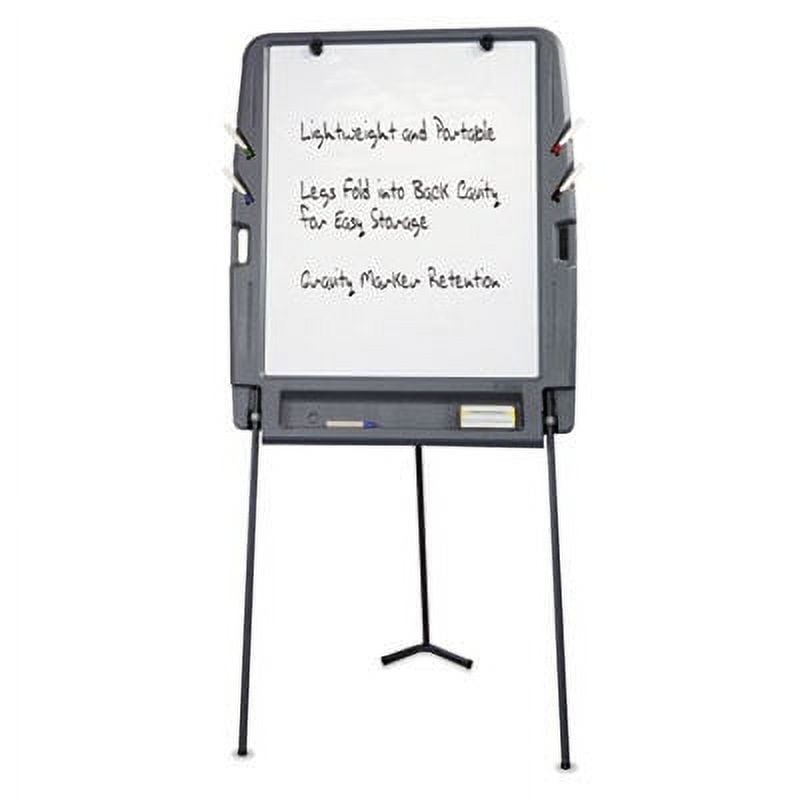 Iceberg Portable Flipchart Easel with Dry-erase Surface - Walmart.com