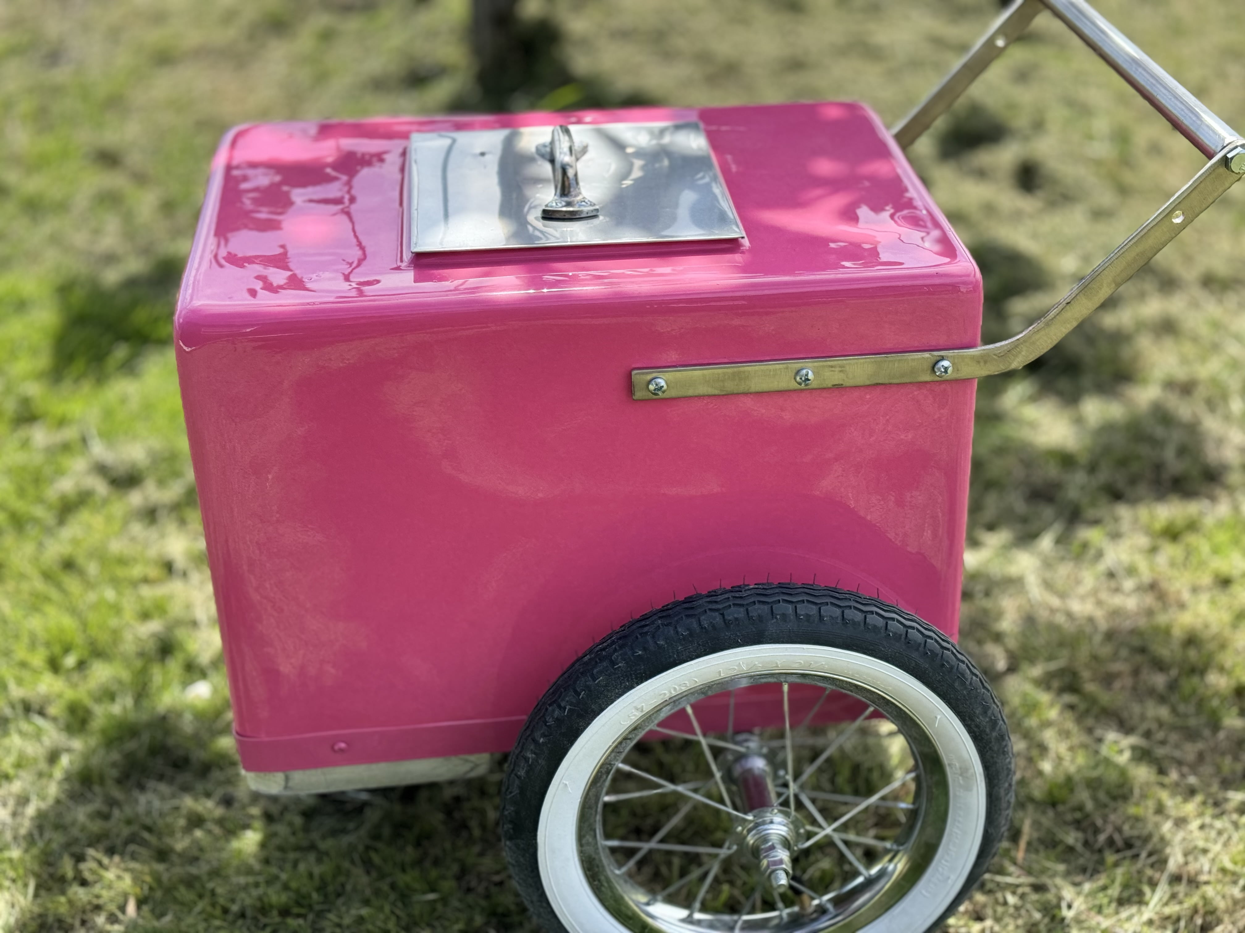 Thermo Ice Cream Cart with Fiberglass Insulation, Capacity 50-80 ...