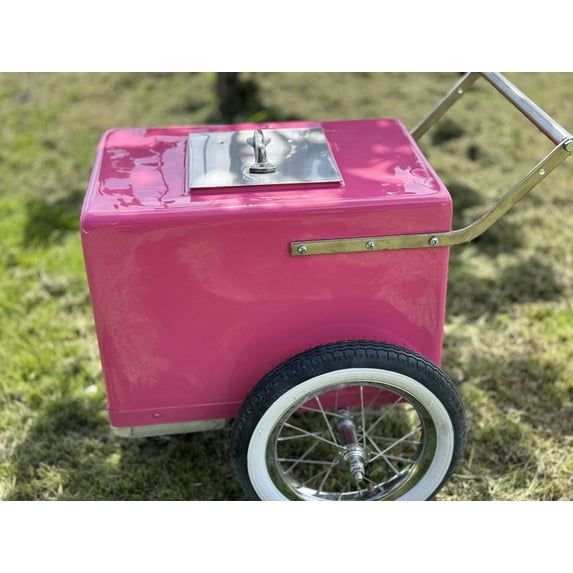 Thermo Ice Cream Cart with Fiberglass Insulation, Capacity 50-80 ...