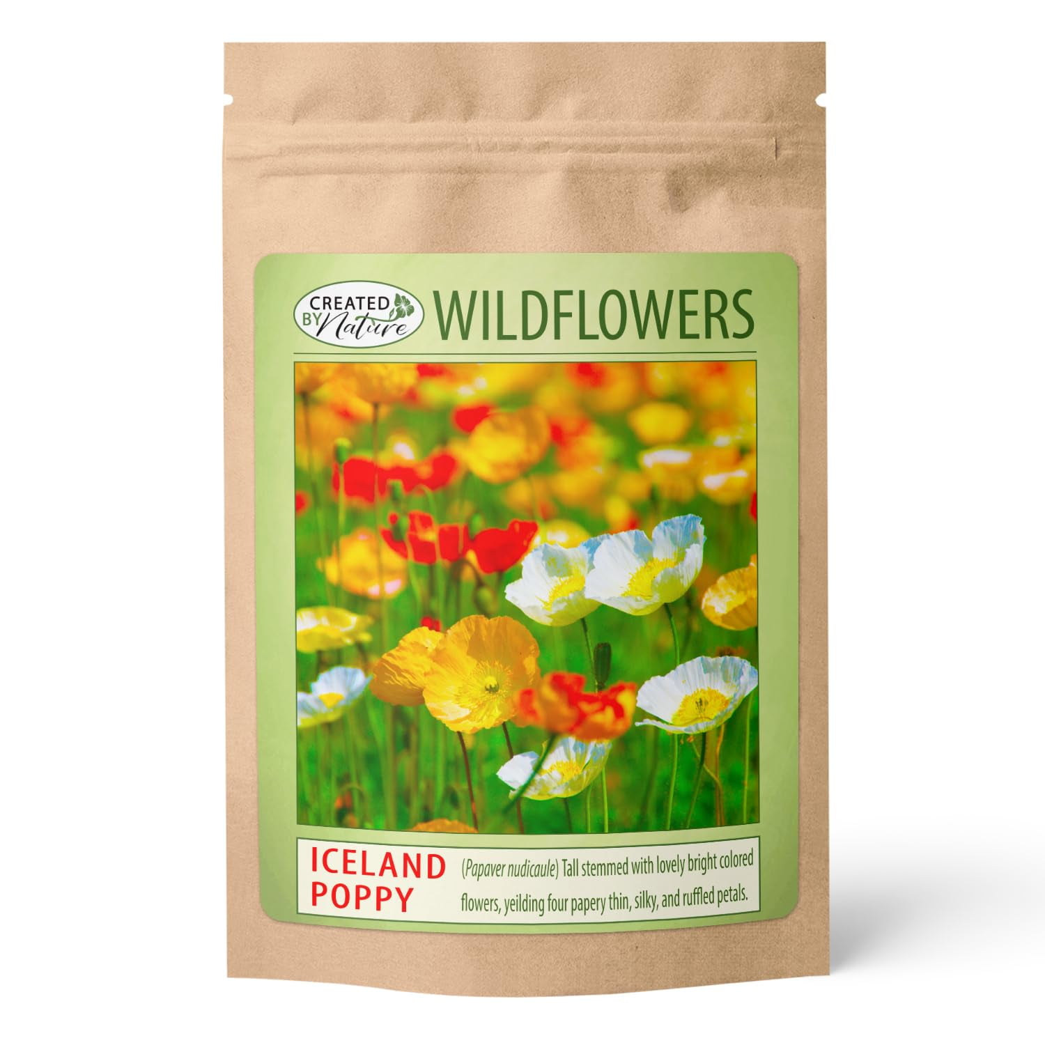 Iceland Poppy (Papaver CORNET Nudicaule) - 34,700 Non-GMO Seeds | Easy ...