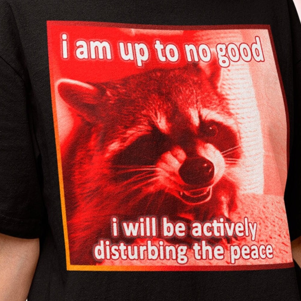 Ich bin bis zu keinen guten Opossums Meme T-Shirt - Wasch Meme T-Shirt ...