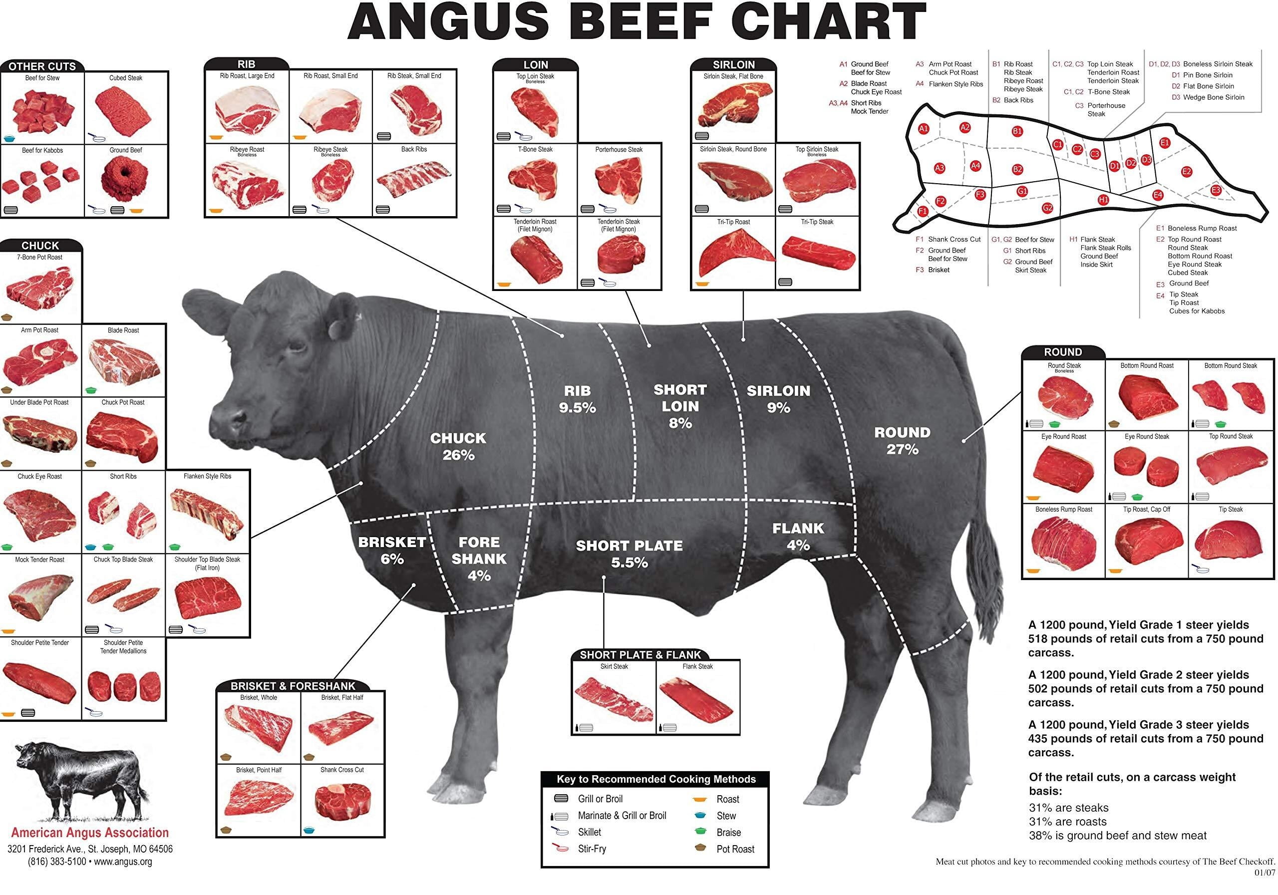 Iconic Arts Angus Beef Cuts Of Meat Butcher Chart Poster - Walmart.com