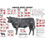 Angus Beef Chart Meat Cuts Diagram Poster 24 Inches x 36 Inches Art ...