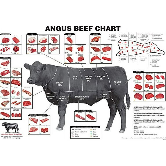 Iconic Arts Angus Beef Cuts Of Meat Chart Poster 18x24 - Walmart.com