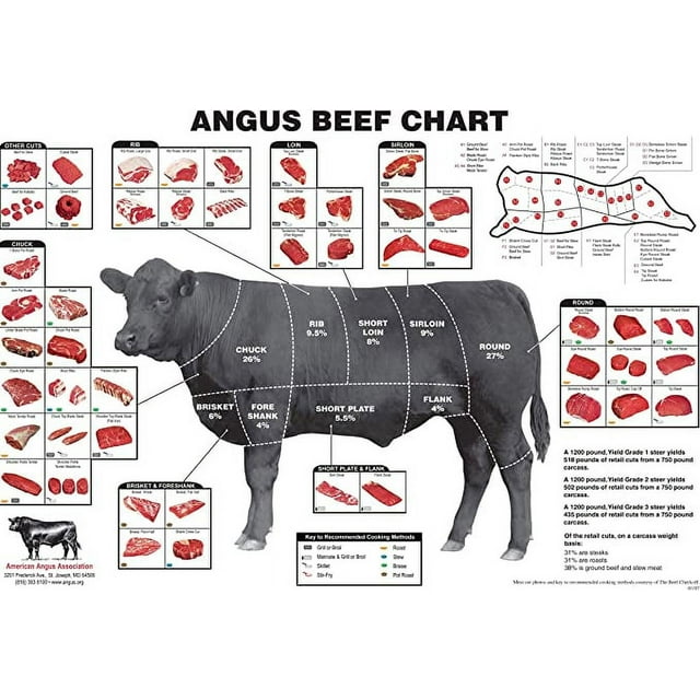Iconic Arts Angus Beef Cuts Of Meat Chart Poster 18x24 - Walmart.com