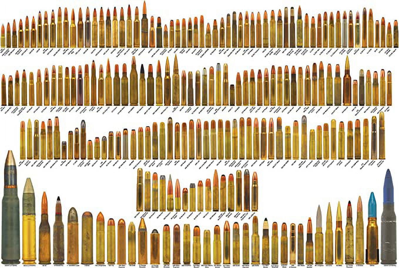 Iconic Arts Big-Bore - Cartridge Comparison Guide 18x28 - Walmart.com