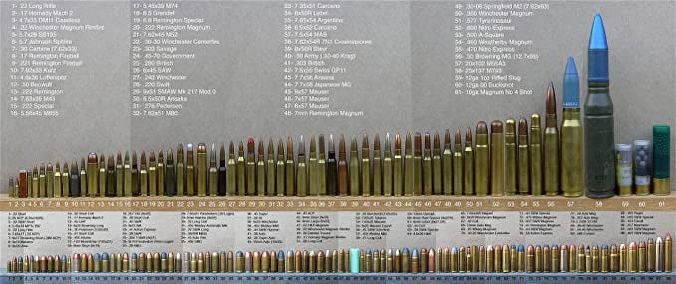 Iconic Arts Bullet Caliber Comparison Chart Poster 18x28 - Walmart.com