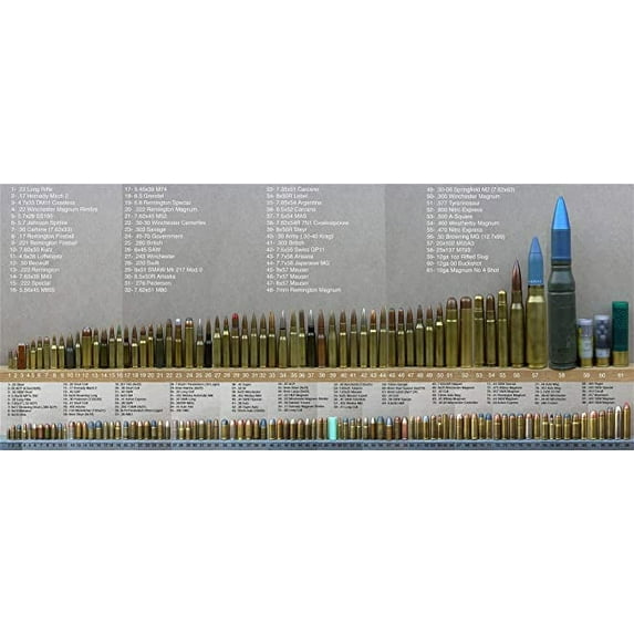 Iconic Arts Bullet Caliber Comparison Chart Poster 24x42 - Walmart.com