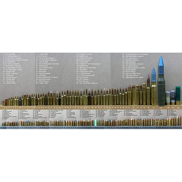 Iconic Arts Bullet Caliber Comparison Chart Poster 24x42 - Walmart.com