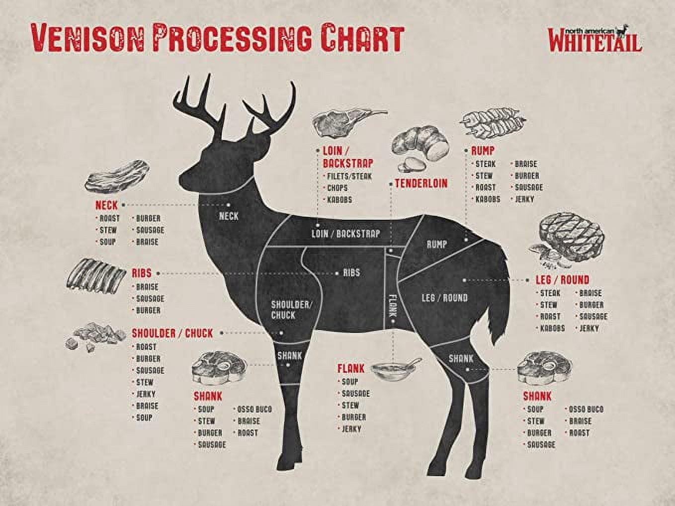 Iconic Arts 24x36 Venison Butcher Chart Poster - Meat Carving & Cooking ...