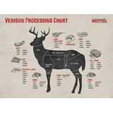 Iconic Arts 24x36 Venison Butcher Chart Poster - Meat Carving & Cooking ...