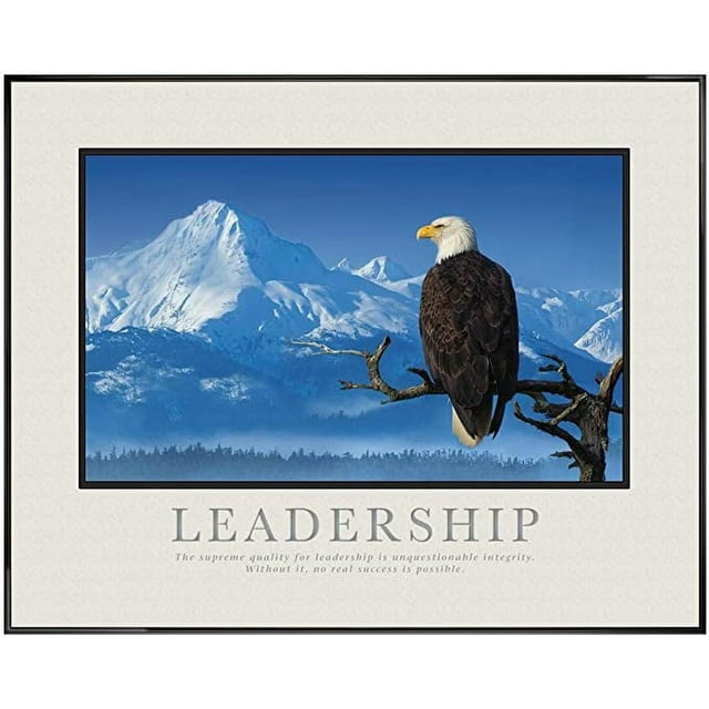 Iconic Arts Laminated 20x20 Poster: Successories Motivational ...