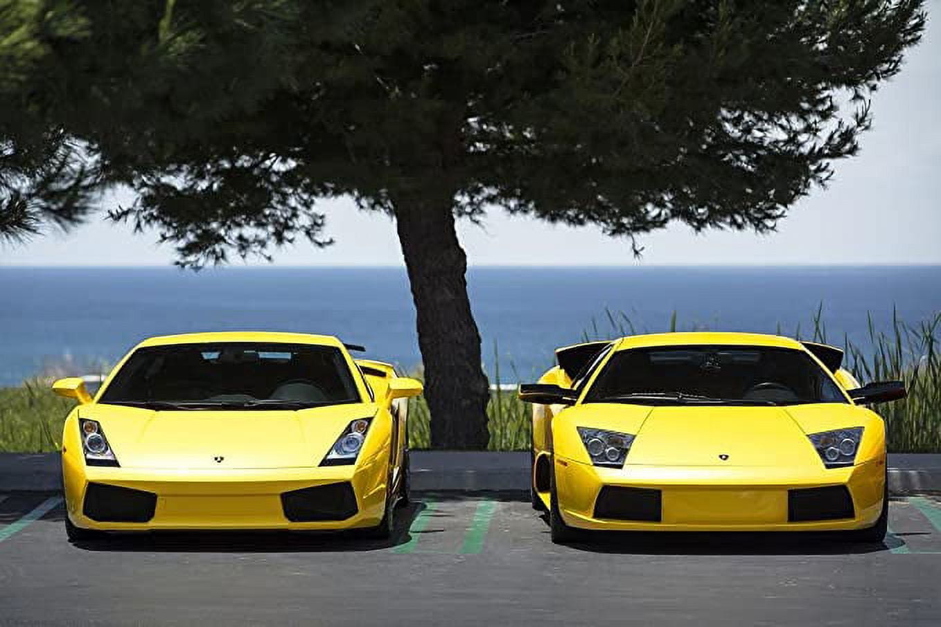 Iconic Arts Laminated 36x24 Poster: Lamborghini Gallardo and Murcielago ...