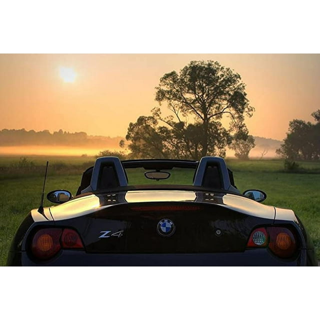 Iconic Arts Laminated 36x24 inches Poster: BMW Z4 E85 Roadster Sunrise Pkw Open Rear Vehicle Car ...