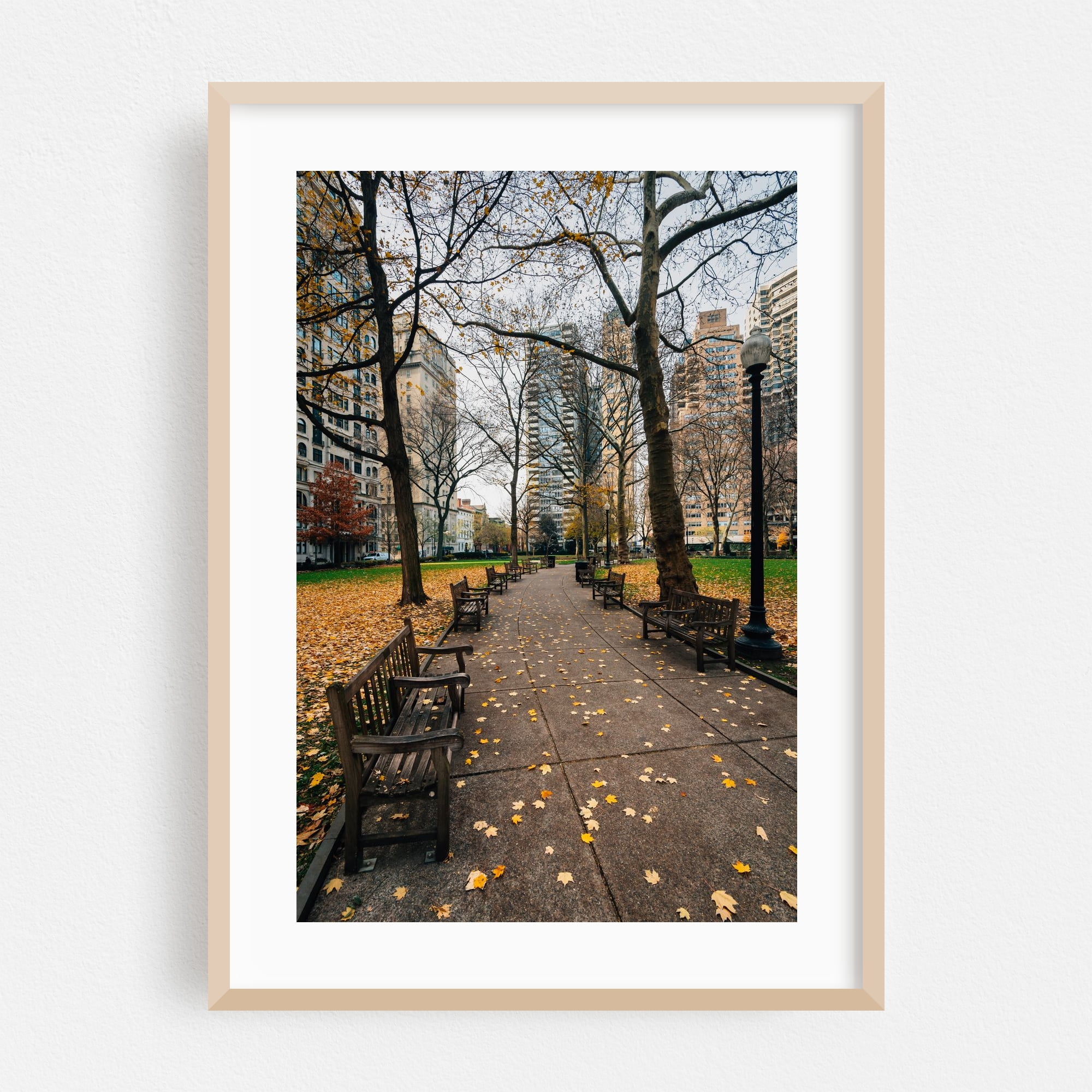 Iconic Rittenhouse Square - Philadelphia Pennsylvania Photography Oak ...