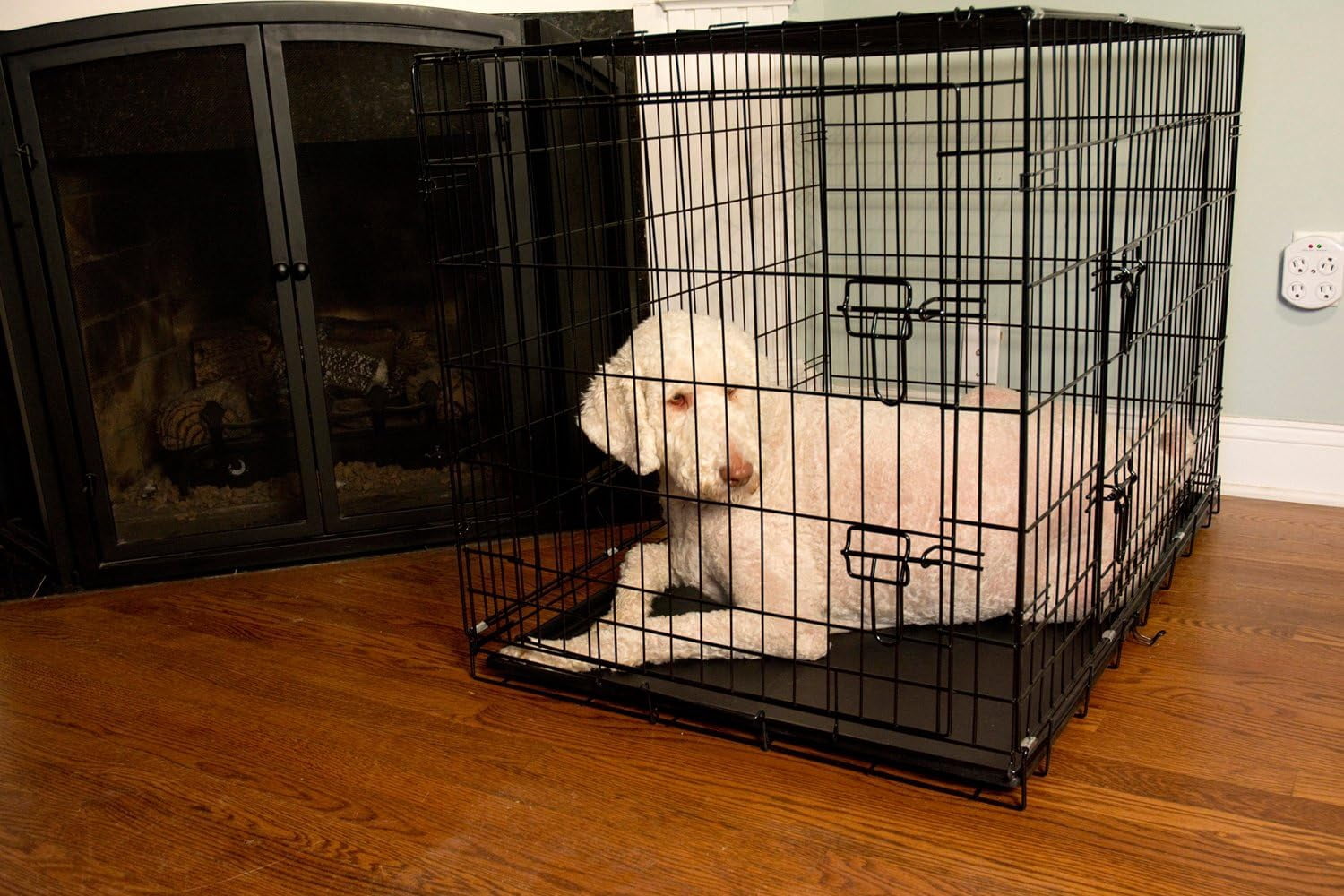 Iconicpet 24" Foldable Double-Door Dog Cage: Sturdy Metal Wire ...