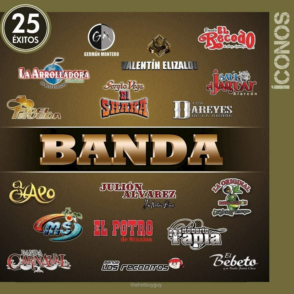 Iconos 25 Exitos Con Banda Audio CD 2 Discs NEW - Walmart.com
