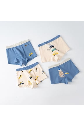 Cartoon Boxers