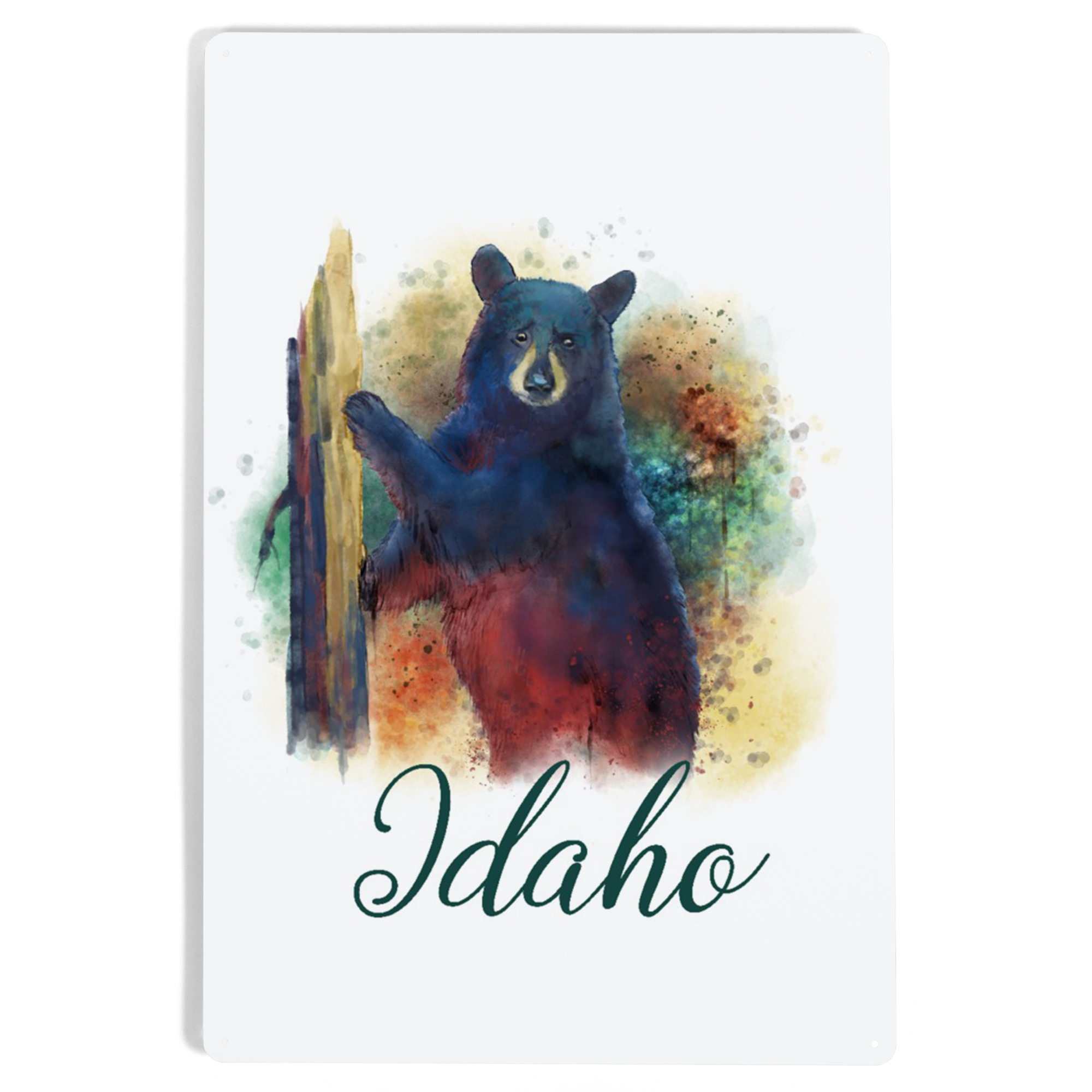 Idaho, Black Bear, Watercolor (12x18 Aluminum Art, Indoor Outdoor Metal ...