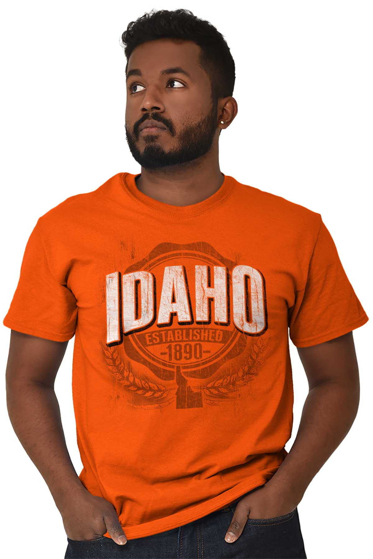Idaho ID Student Campus Pride Seal Unisex Plus Size Graphic Tee Brisco ...