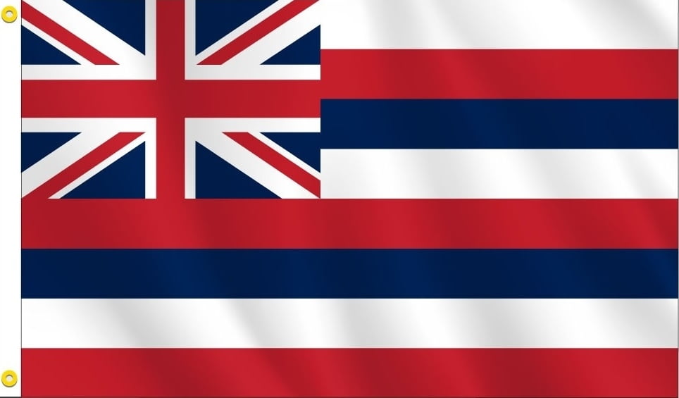 Idaho State Flag Nylon 3 X 5 100 Made In Usa Canvas Header Heavy Duty Brass Grommets