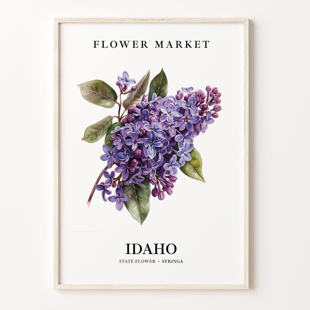 Idaho State Flower Art Print, Syringa 1960'S Wall Art, Idaho Flower ...