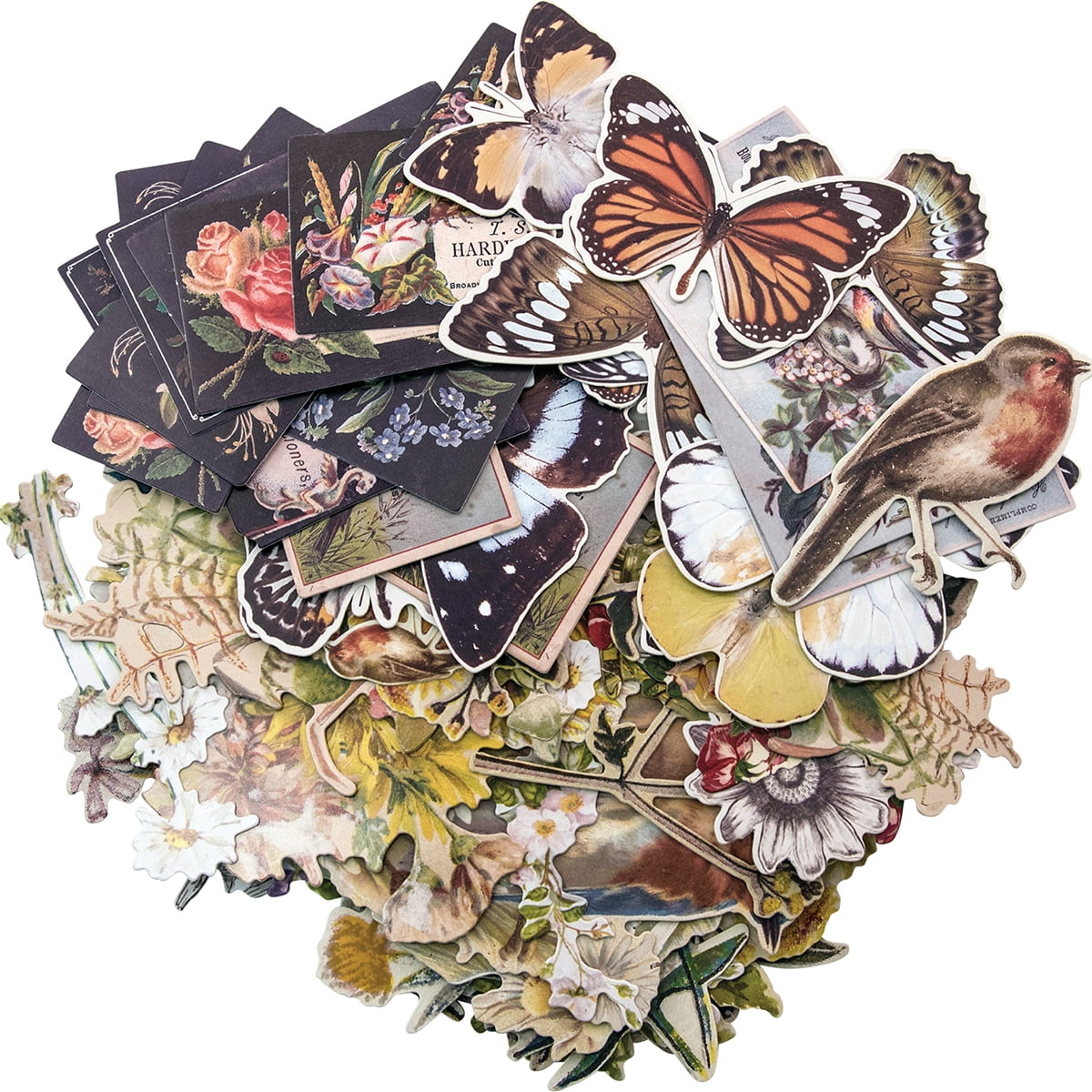 Idea-Ology Layers Die-Cuts 83/Pkg-Botanical .75"X1" To 6.5"X2 ...