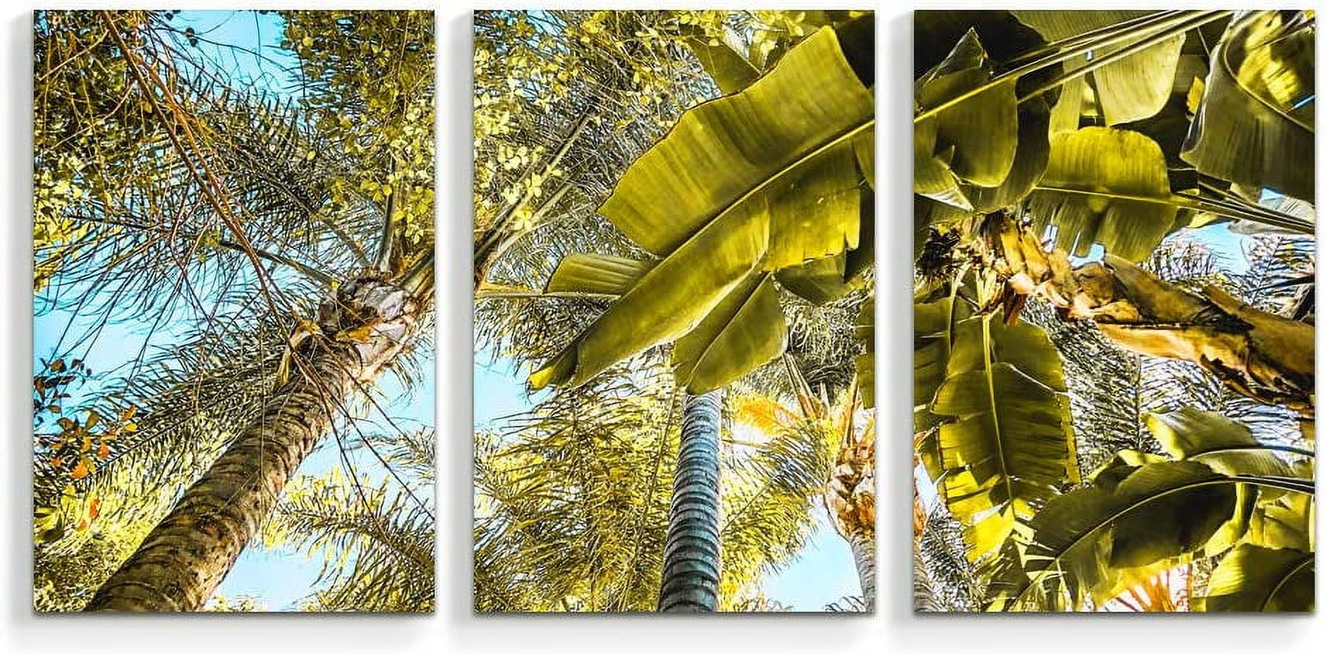 Idea4wall 3 Piece Tropical Canvas Wall Art Palm Tree Canvas Prints ...