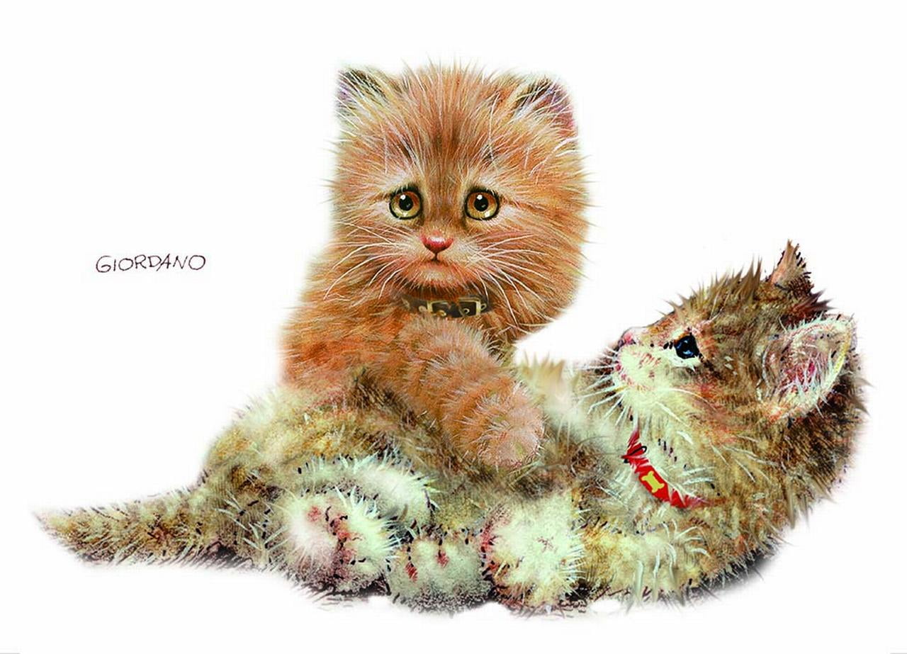 IdeaStix Cat PairII Pet-Sticker - Original Premium Double-Sided Peel ...